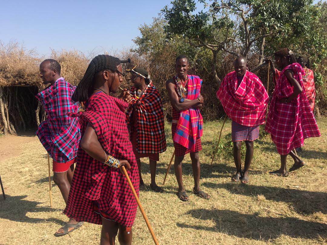 Kenya National Parks – Where to Go for Kenya Wildlife Safaris?