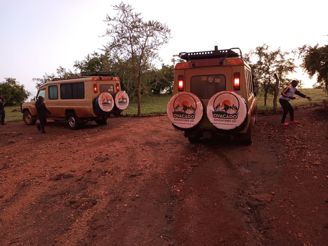 Uganda Safaris. What is the Price for Uganda Safari?. Bush 2023